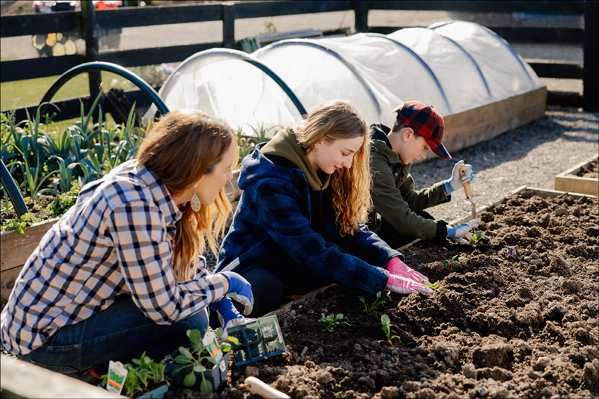 Grow it Yourself – farmlands-nz