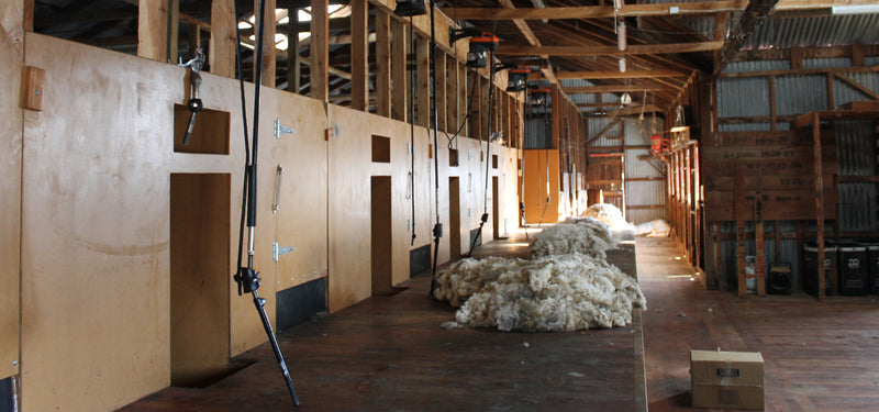 Woolshed & Supplies – farmlands-nz